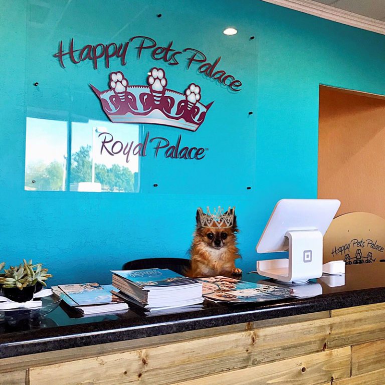 Happy Pets Palace | Happy Pets Palace & Playground